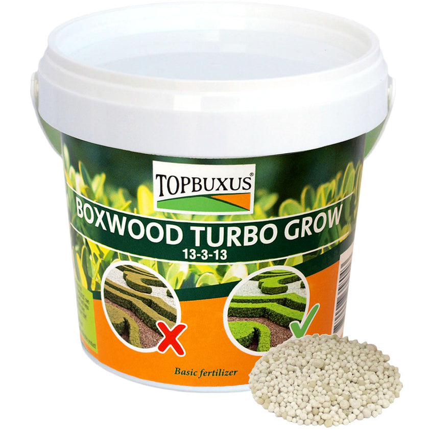 Boxwood Turbo Grow – TOPBUXUS North America