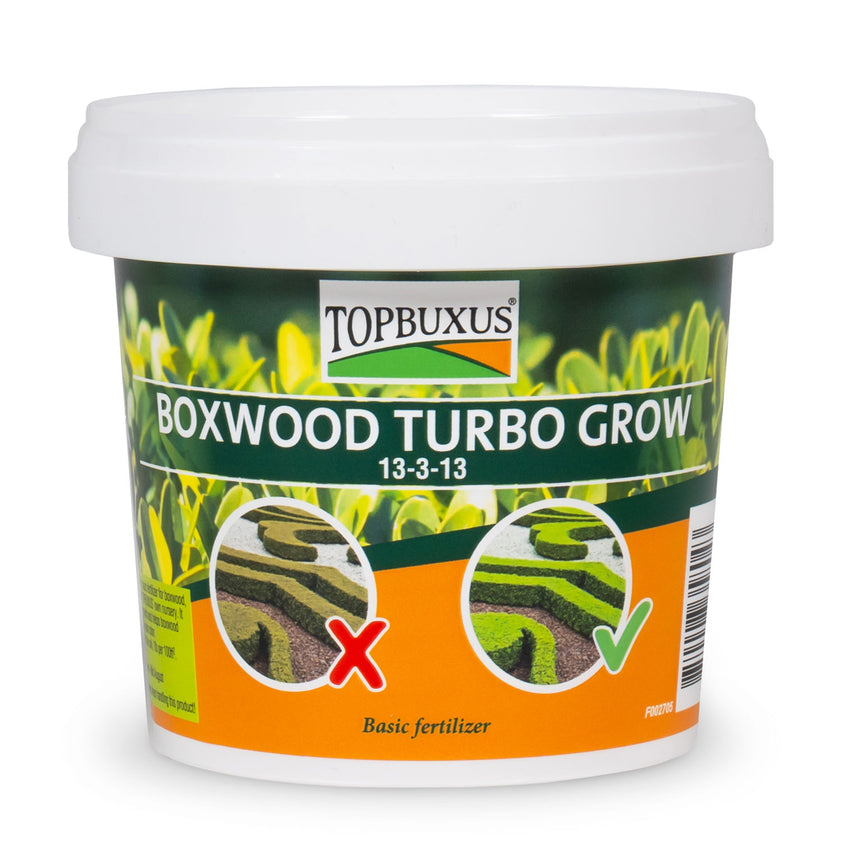 Boxwood Turbo Grow – TOPBUXUS North America